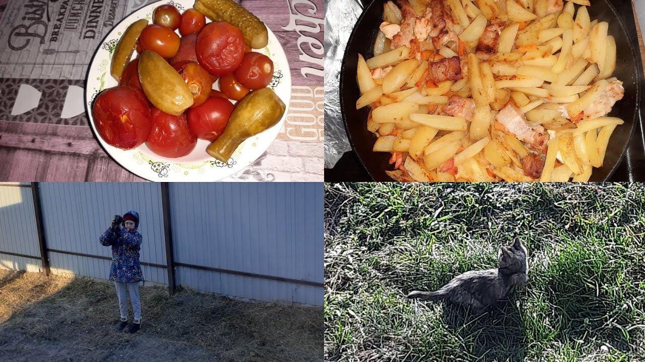 VLOG Понедельник 01.11.2021г. Учим уроки, играем с котятами,  приготовила вкусную картошку с мясом.