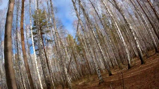 Глубокая Осень