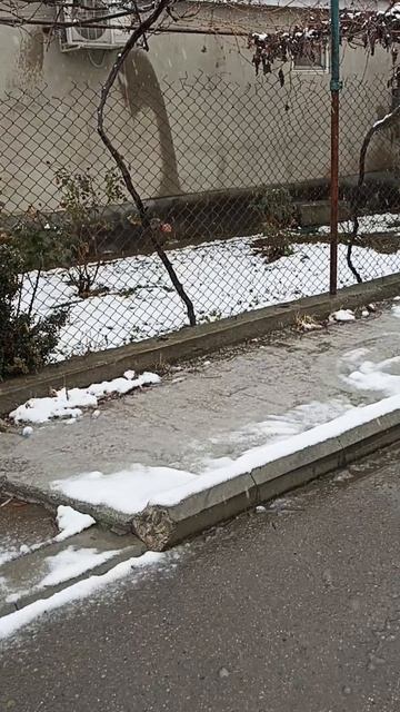 19 января 2026 года в Рустави (Грузия)