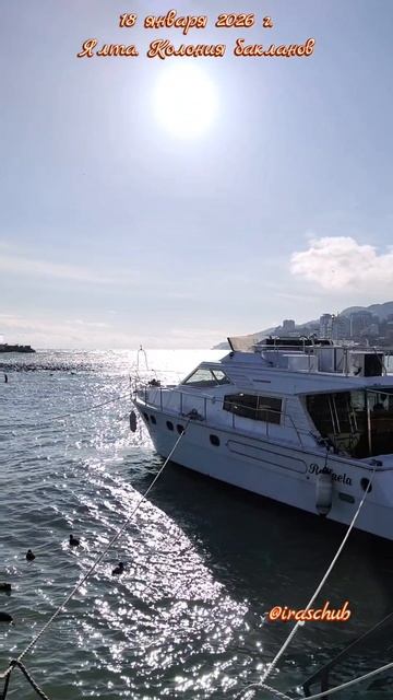 18 января 2026 г. Ялта. Бакланчики #ялта #ялта2026