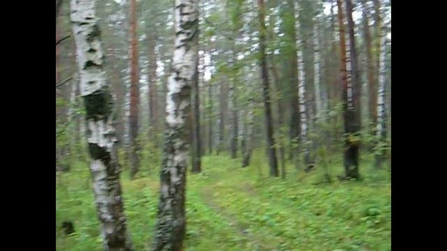 Горы и Равнины