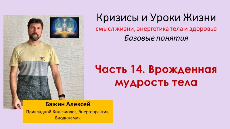 Алексей Бажин|Часть 14. Врожденная мудрость тела (ВМТ)|Кризисы и уроки жизни
