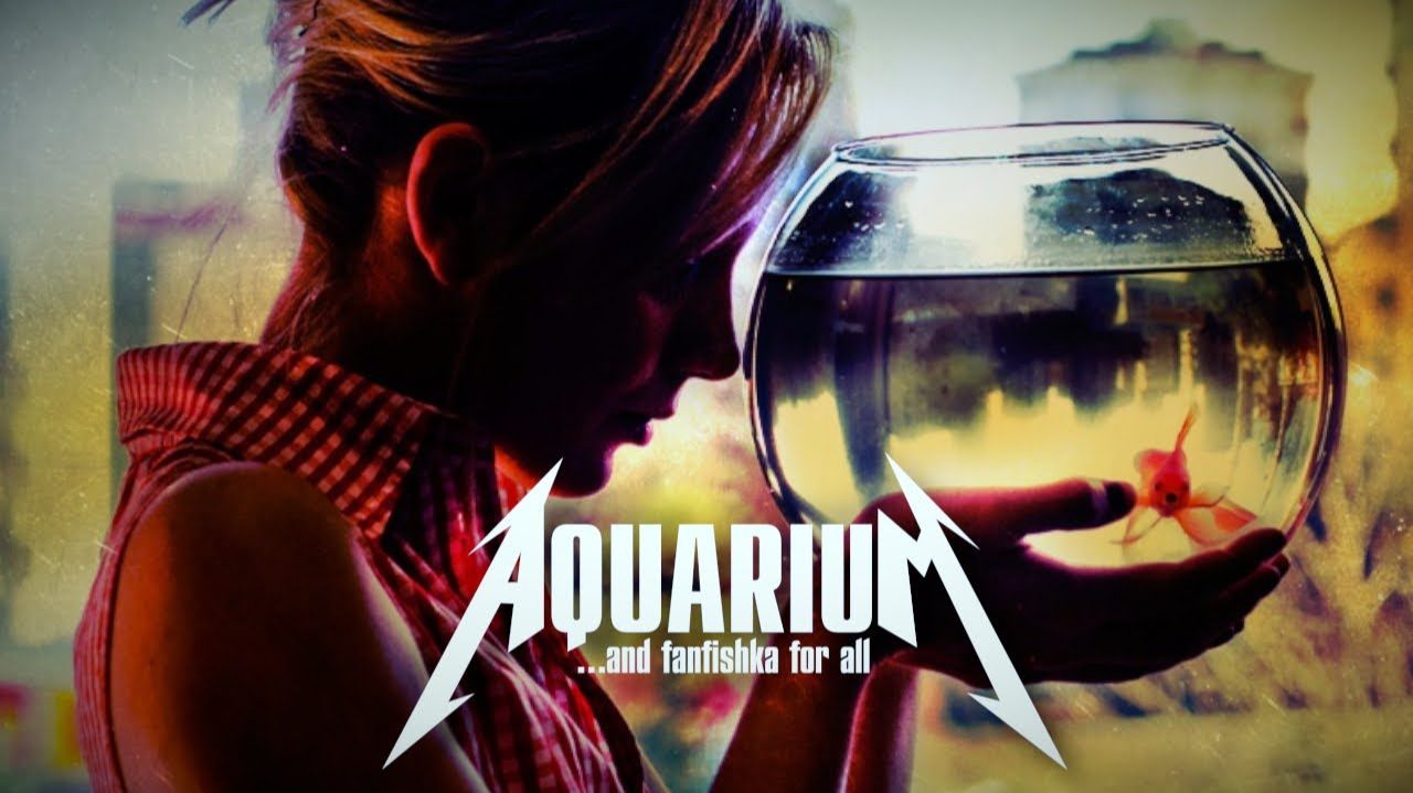 Шпаргалка по аквариумным препаратам для новичков