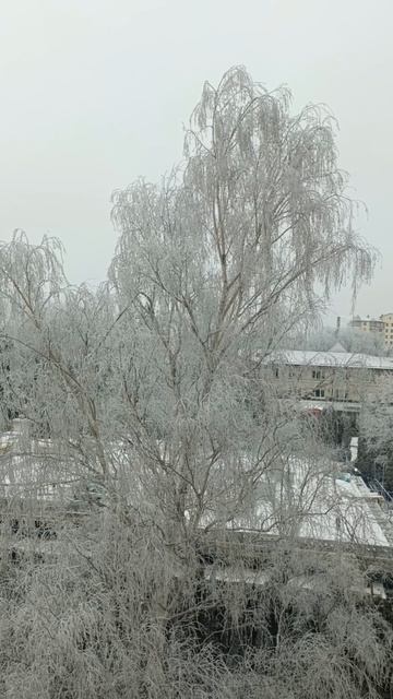 19-01-2026 С крещением Господним ☦️
