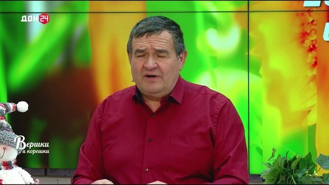 Вершки и корешки 18.01.2026 - Капуста