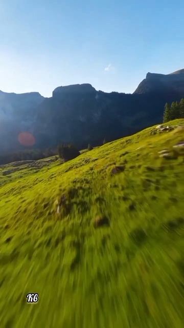 #katyboro #топ #рек #врек #видео #природа #красота #рекомендации