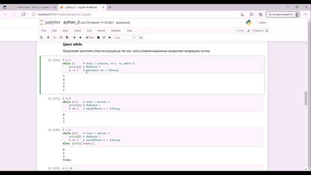 Инструкции в Python