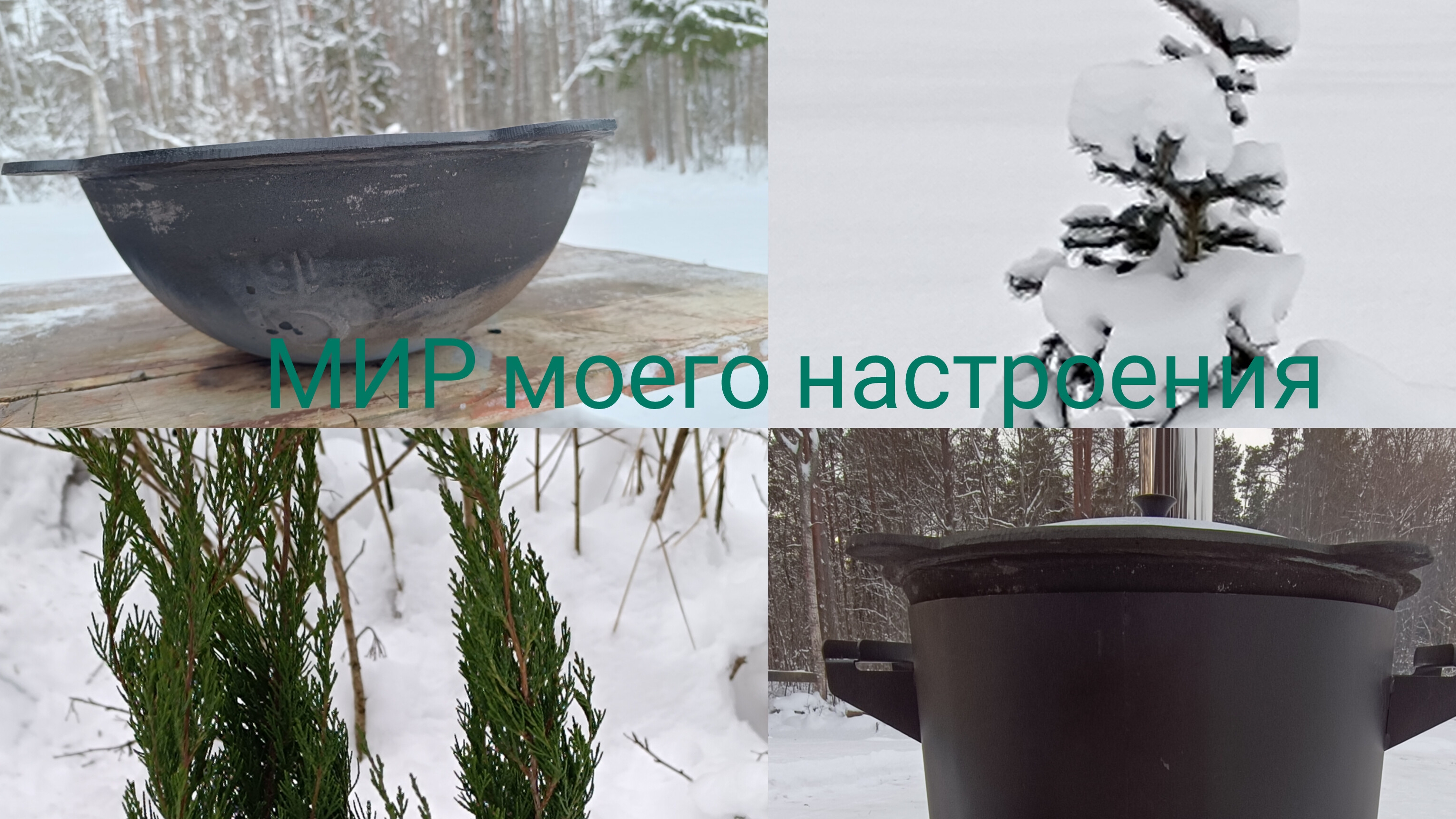 18.01.26 Дача Выборг.Новая печь и казан,готовим плов.Можжевельник в прикоп на зимовку.