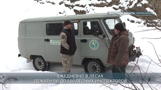 Более 970 тыс. рублей составил ущерб от незаконных рубок новогодних деревьев в Приангарье