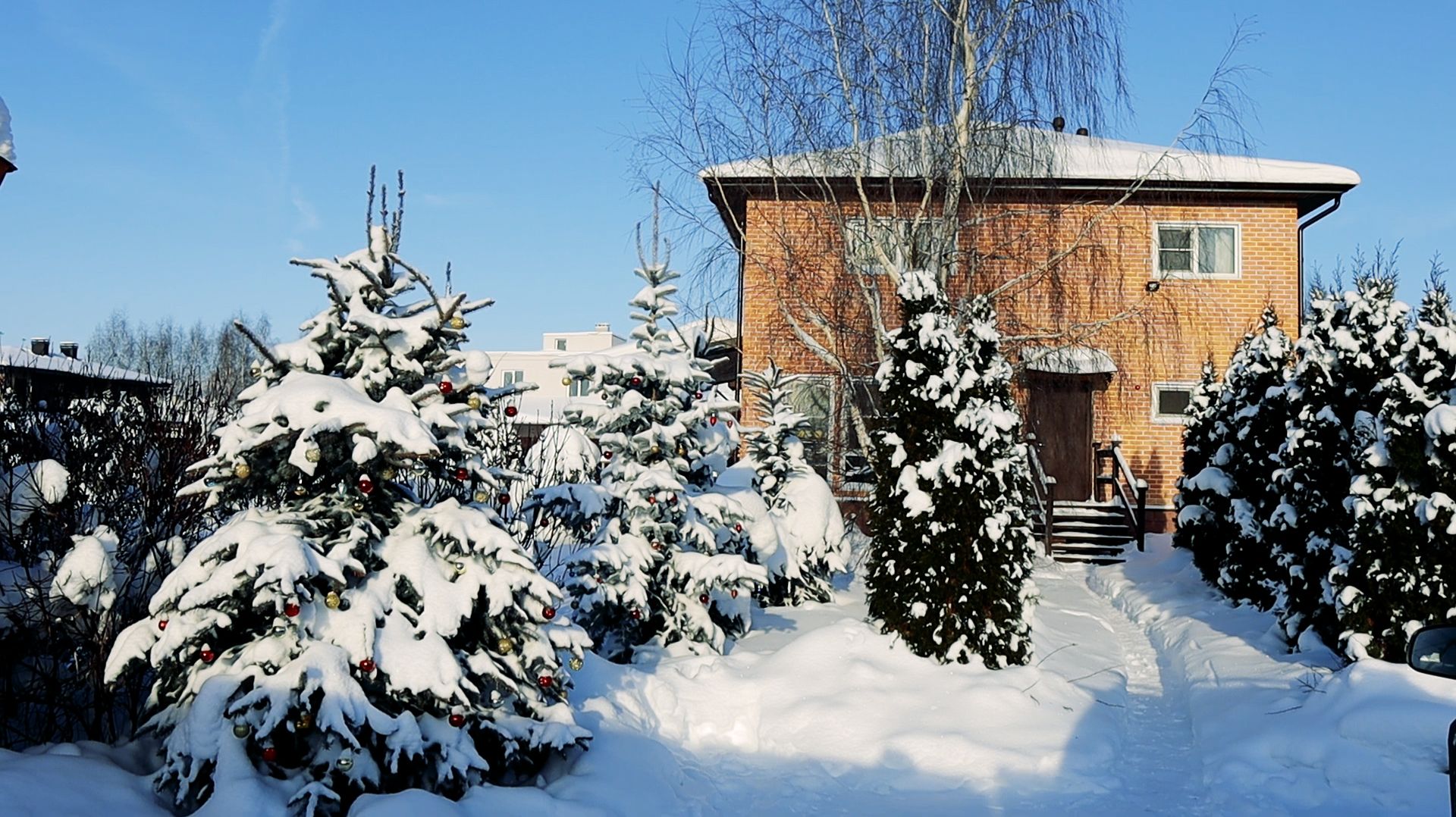 Зима в Подмосковном Саду