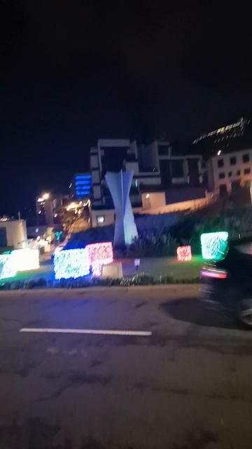 Фамильный дом Крестиану_часть4_2021.12.21