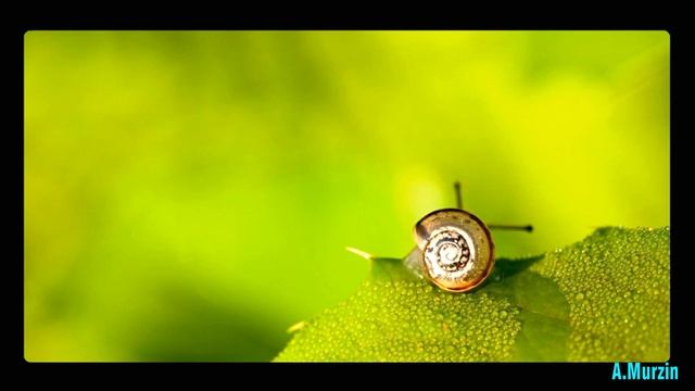 Moments Of Life 263 (Vocal - Chill Mix)