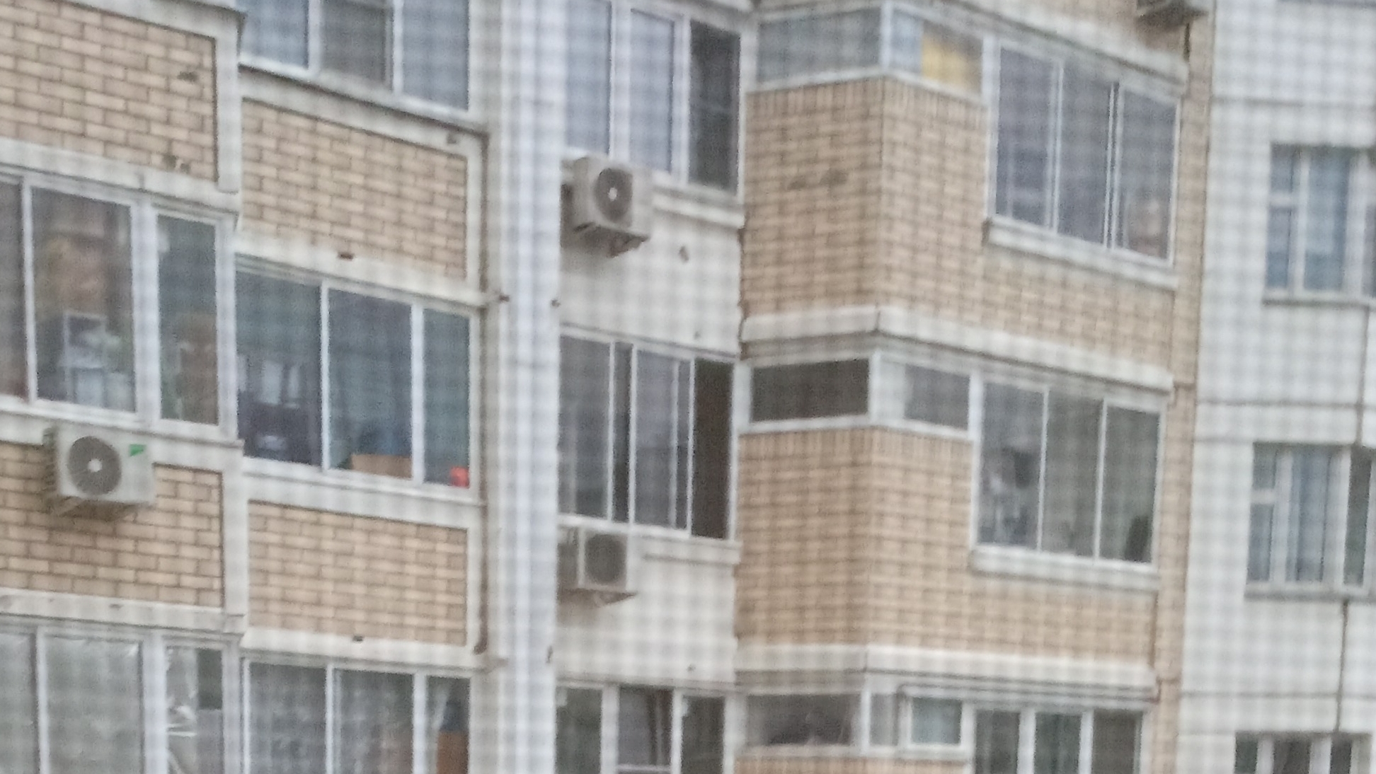 Ново Переделкино моими глазами.