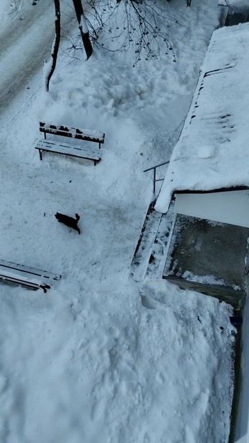 PXL_20260118_154714668