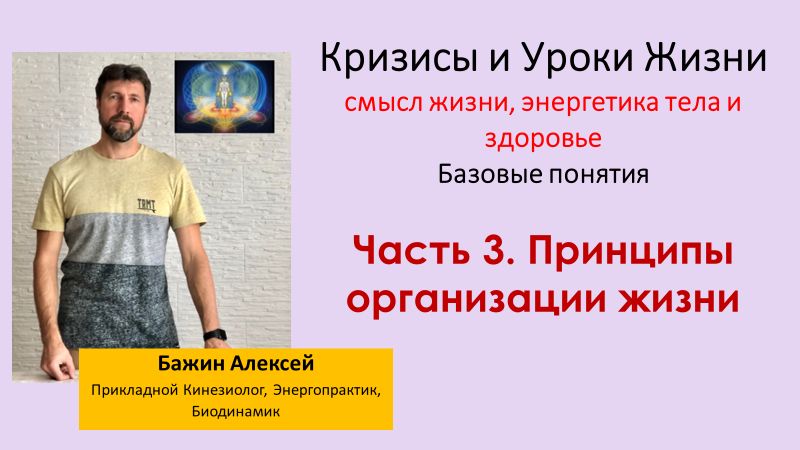 Алексей Бажин|Часть 3. Принципы организации жизни|Кризисы и уроки жизни. Базовые понятия