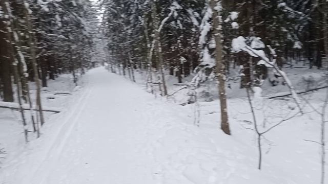 поздравления с праздниками в 2026 году.