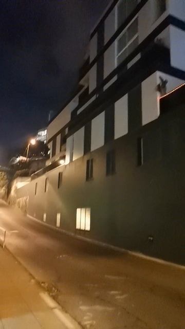 Фамильный дом Крестиану_часть3_2021-12-21