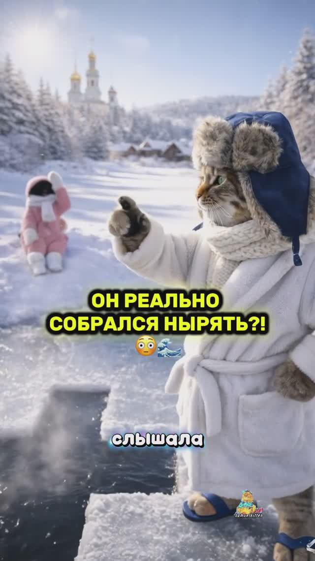 С КРЕЩЕНИЕМ, ДРУЗЬЯ!❄️😻 #котики #крещение #юмор