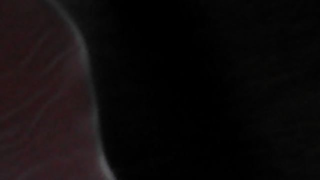 DSCN8563 Пятигорский фарфор.НАБОР ИЗ 3 САЛАТНИКОВ"КАПУСТА"