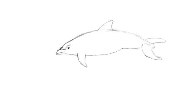 Как рисовать (Дельфин) №1