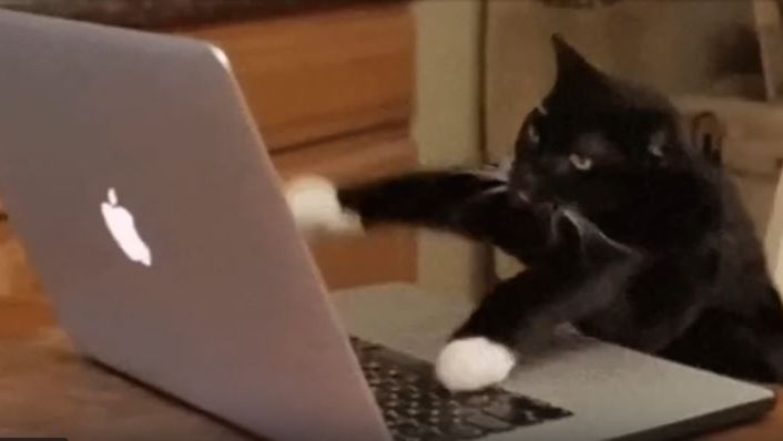 играю в мелон сандбокс 2 часть или хоррор в мелон сэндбокс