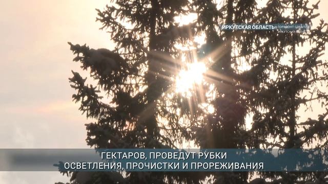 Масштабный план противопожарных работ в лесах Иркутской области на 2026 год утвержден