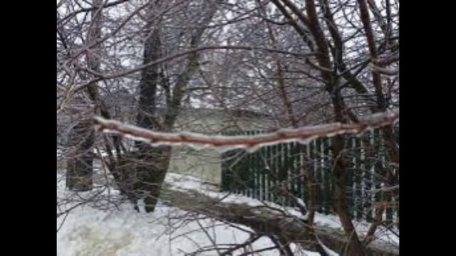 21 января - Емелин день, Емельян зимний. Народные приметы и традиции