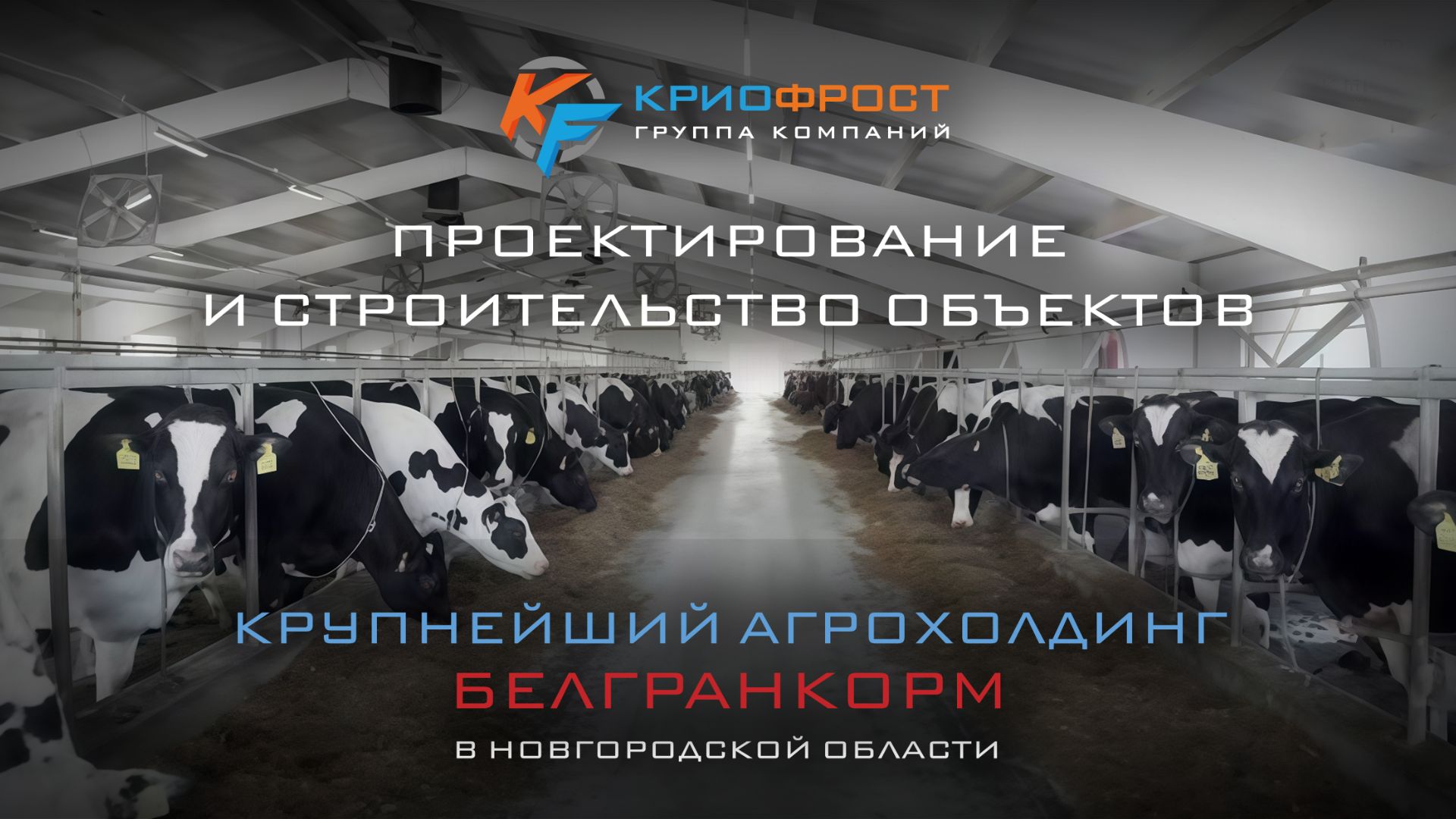 Строительство объектов для холдинга «Белгранкорм» в Новгородской области