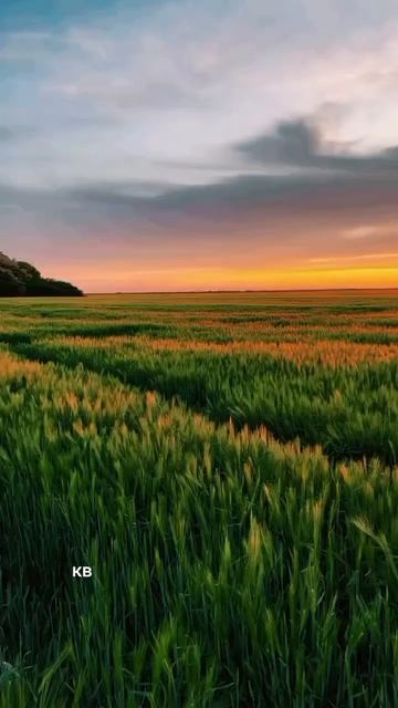 #рекомендации #топ #врек #рек #katyboro #видео