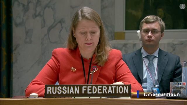 М.В.Заболоцкая в ООН о расследовании ситуации в Дарфуре, Нью-Йорк, 19 января 2026 года