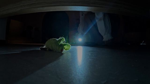 Фонарь Fenix многофункциональный E06R Pro