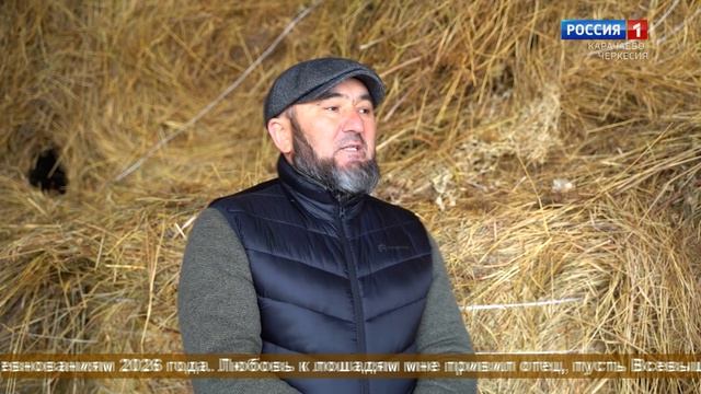 "Ногаец без лошади - что птица без крыльев"  (на ногайском языке)