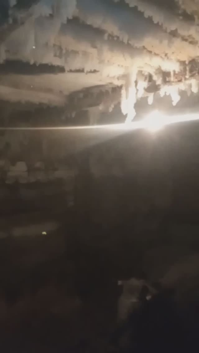 "Крещенские" коровы (ночь -40"С, день -30"С), 20.01.26