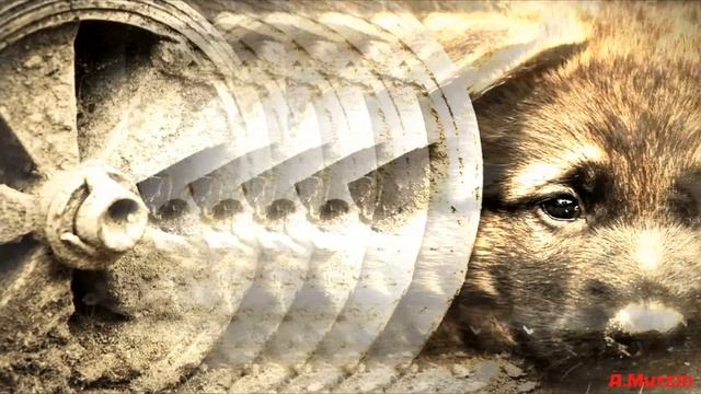 French Frize - Радио