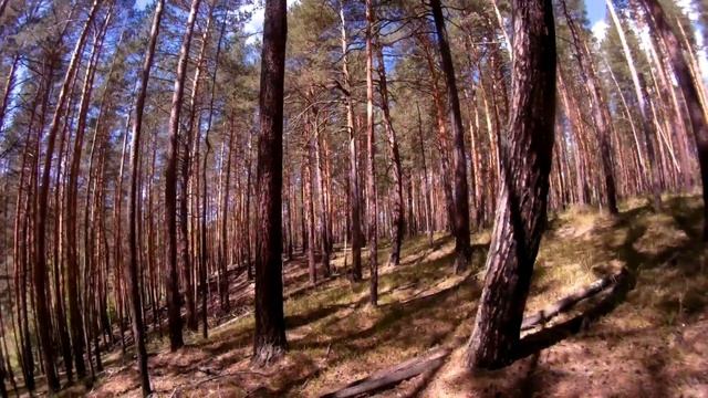 В Долине Мелеющей Реки.