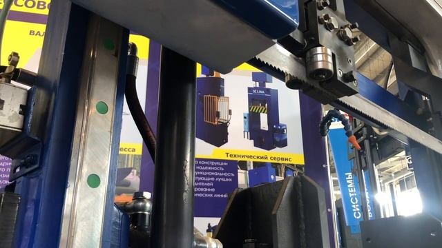 Стенд, мимо которого не пройдёшь — даже если ты обезьянка!