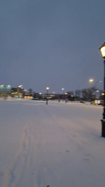 Рыбацкое январь 2026г