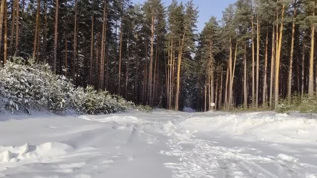 Хроника 2021 02