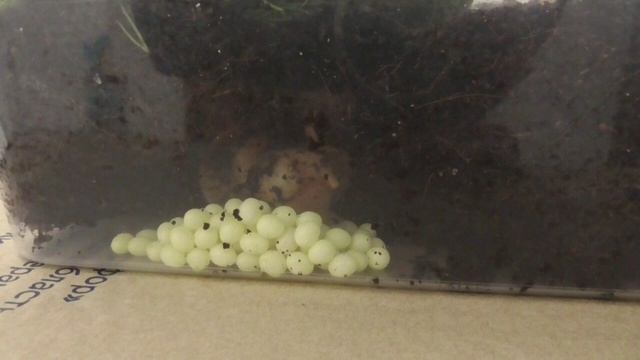 Хроника 2021 03