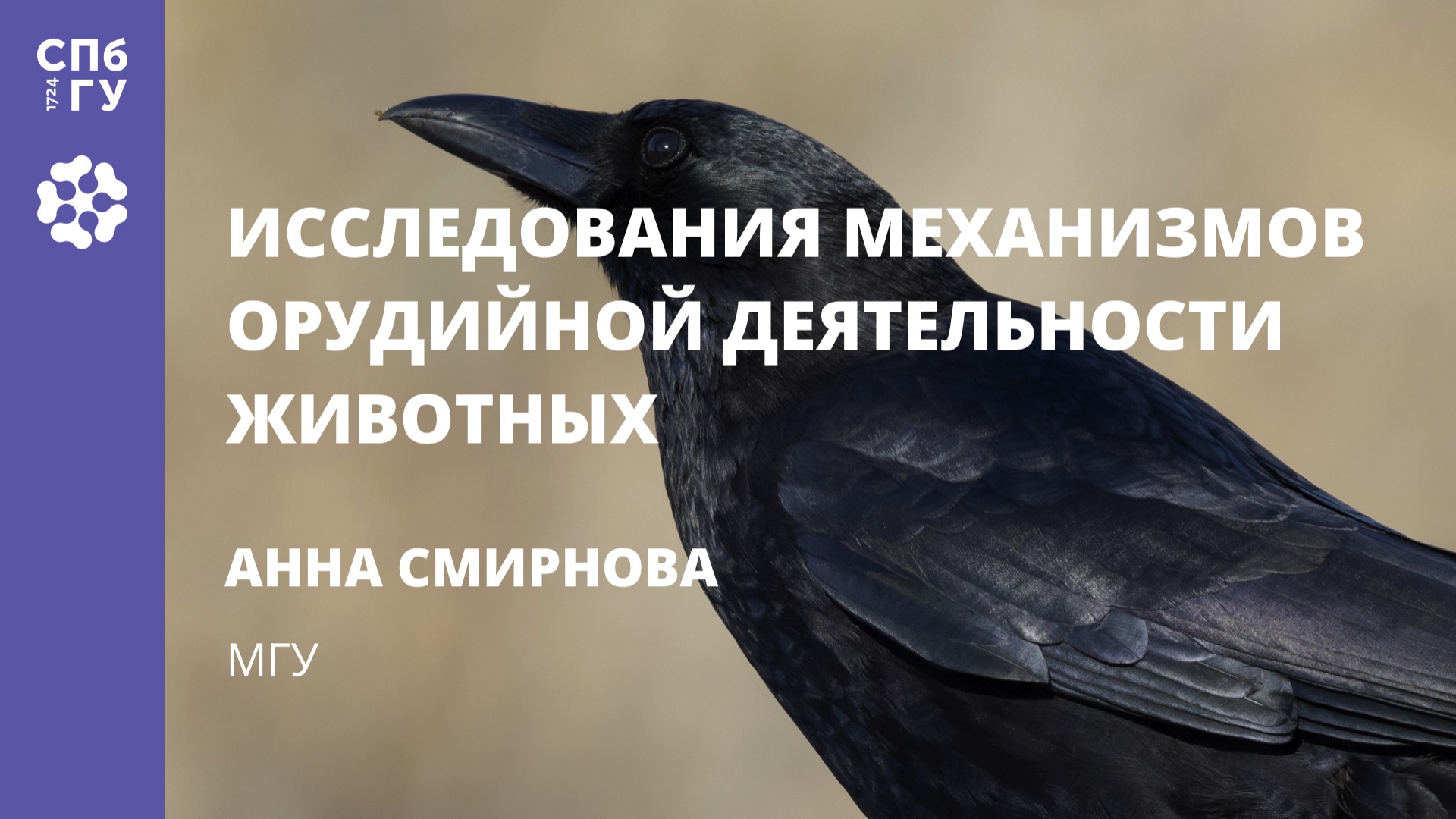 Анна Смирнова «Исследования механизмов орудийной деятельности животных»