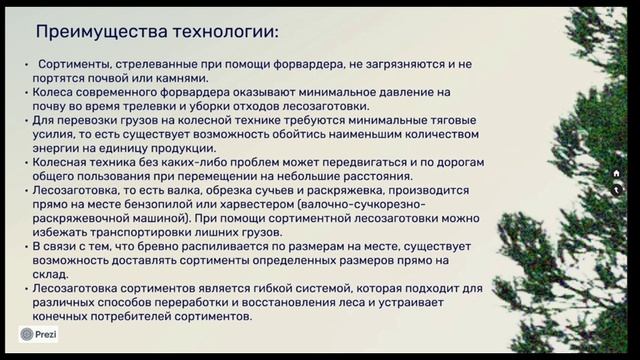 Обрубщик сучьев, выдержка из Лекции "Заготовка древесины"