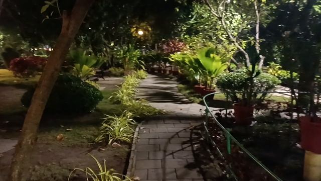 Парк Лонузьяарейи, Мале, Мальдивы, январь 2026 (Lonuziyaaraiy Park, Male, Maldives, January 2026)