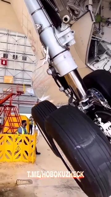 🛩 Реальный размер шасси Boeing 787 #Shorts