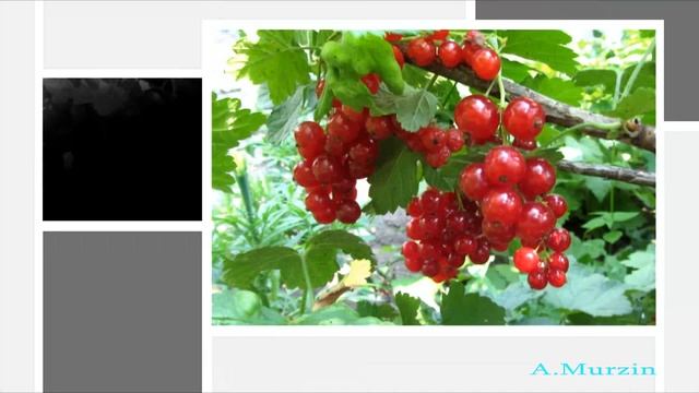 Cities In The Clouds 44