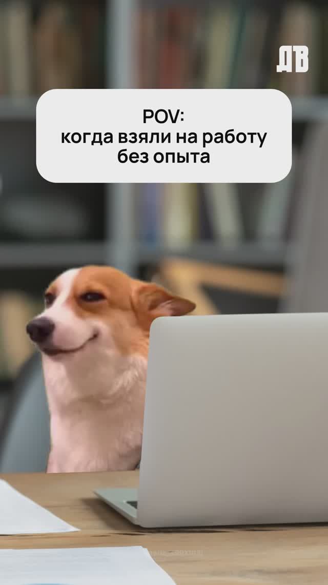 Когда получил работу