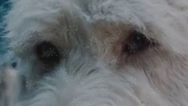 "Страшилик" / Зимняя история