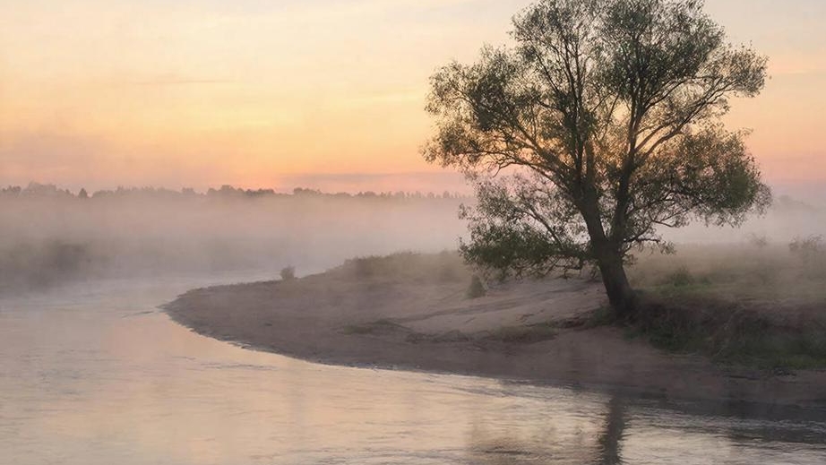 ПУТЬ К ТИШИНЕ 💮 МЕДИТАЦИЯ💮2026