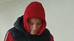 noixes-black bass boosted