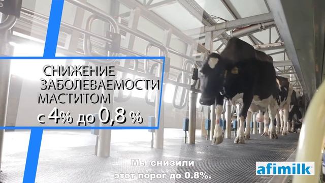 Testimonial by herd Manager at “Studenovskoye” Farm, Penza Region