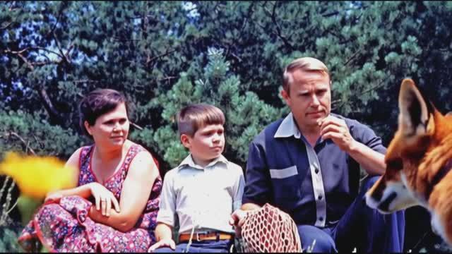 Оживление фотографии №112